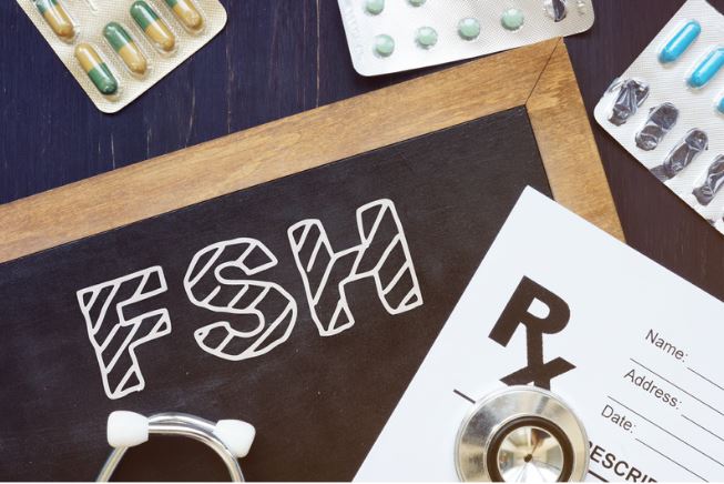 FSH and Menopause: What Rising Levels Really Mean - Integrative ...